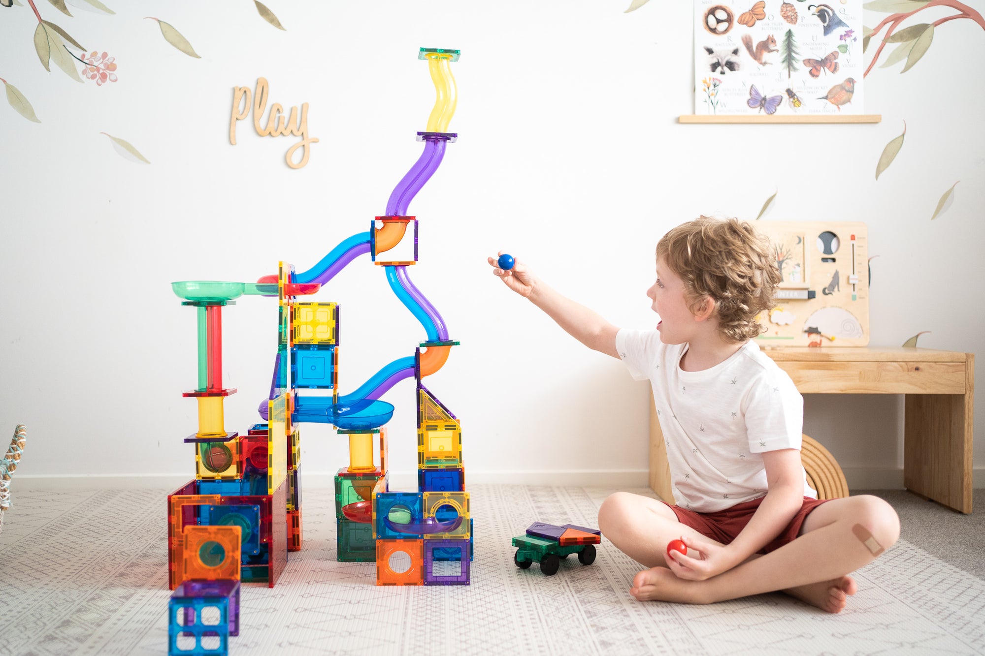 Expansion Pack – Learn & Grow Toys